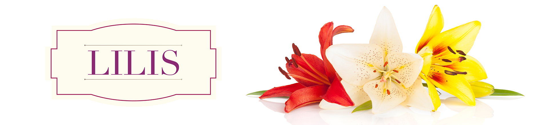 Lilis – Envío de flores a domicilio CDMX | Diseños personalizados ...